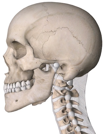 Introduction to Temporomandibular Joint Dysfunction