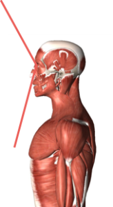 Torso Rotation Test