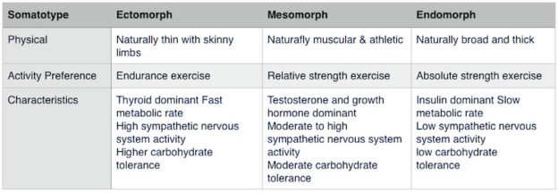 Introduction to Somatotyping