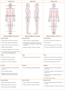 Postural Assessment Introduction